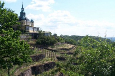 Radebeul an der Sächsischen Weinstraße | Sehenswürdigkeiten Urlaub & Reisen